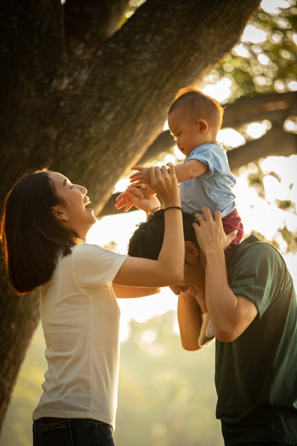 人生製藥與日本渡邊藥品工業株式會社，技術合作生產保健食品
